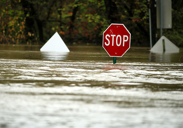 Hurricane Preparedness Signs & Graphics | Emergency Checklist | FASTSIGNS®